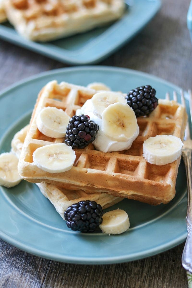 Welcome to soggywaffles! | soggywaffles